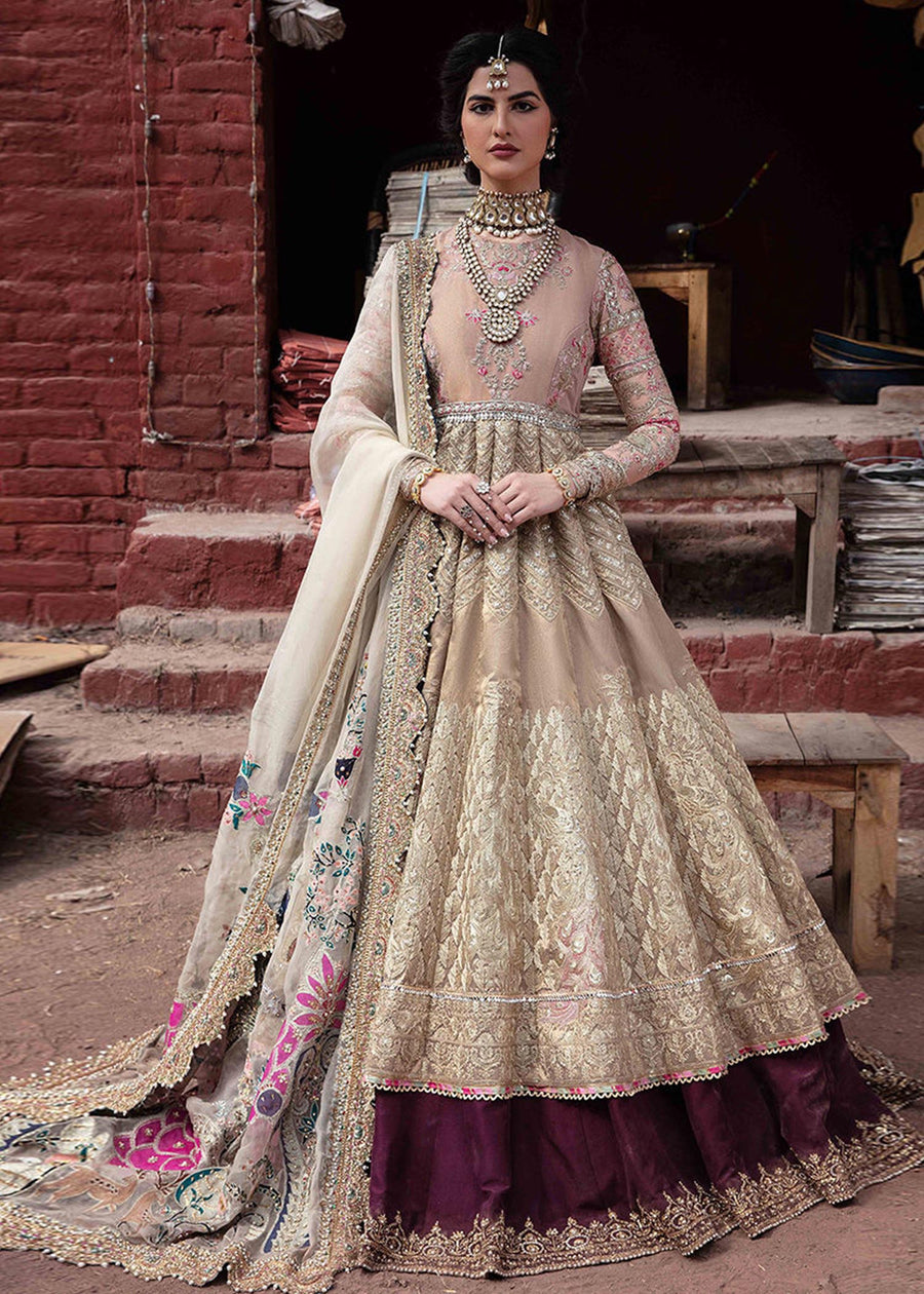 Pakistani Bridal Dresss - Latest Collection - Ali Xeeshan