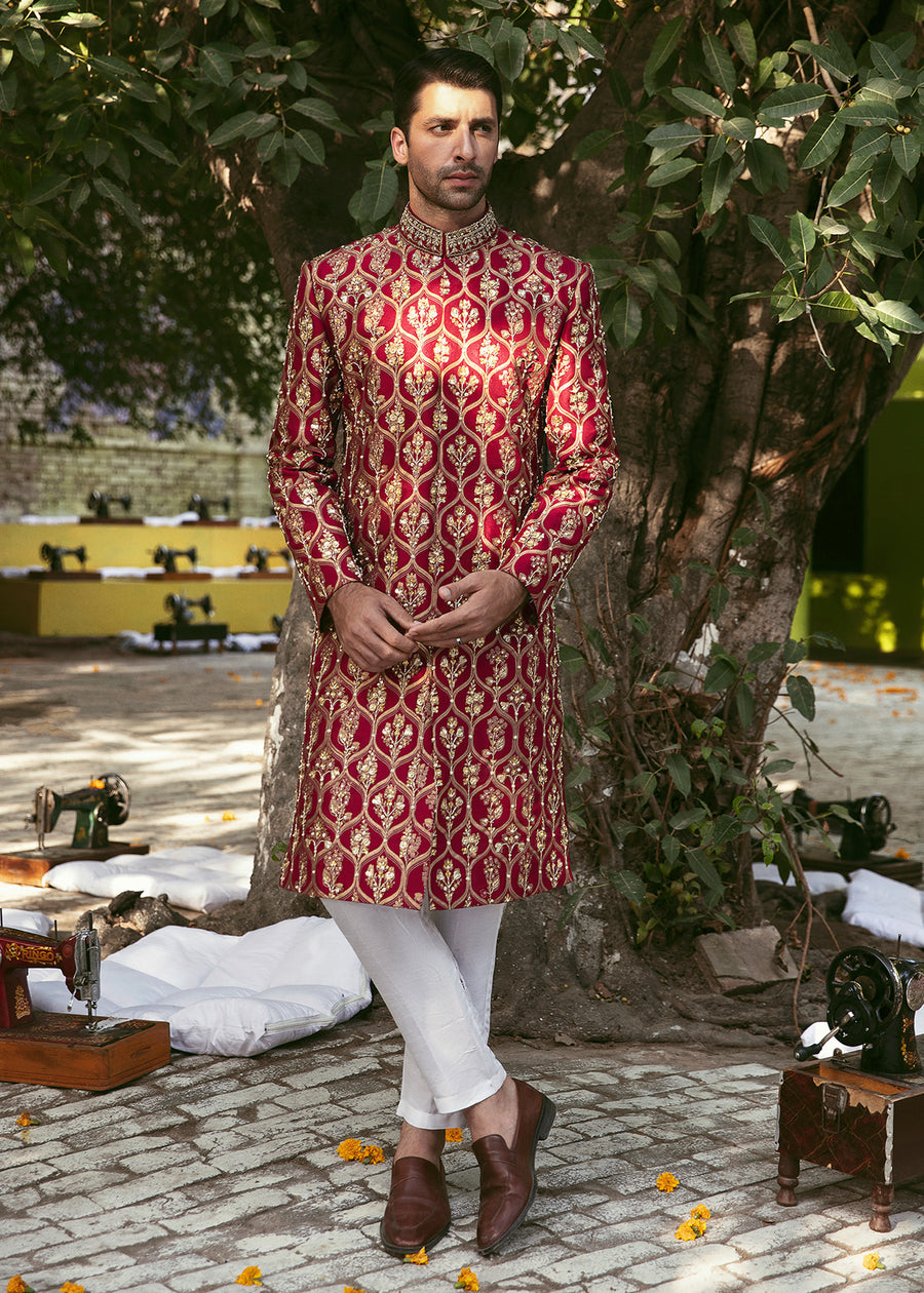 Men's Wedding Sherwani Collection - Ali Xeeshan